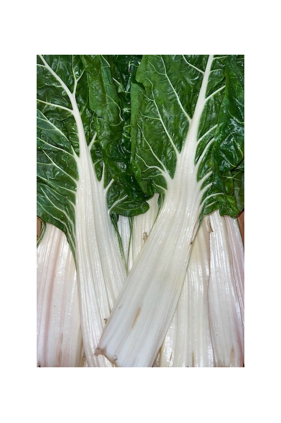 BETTE vrac France rhone cat 2 - Autres légumes - Légumes - Au jardin de ...