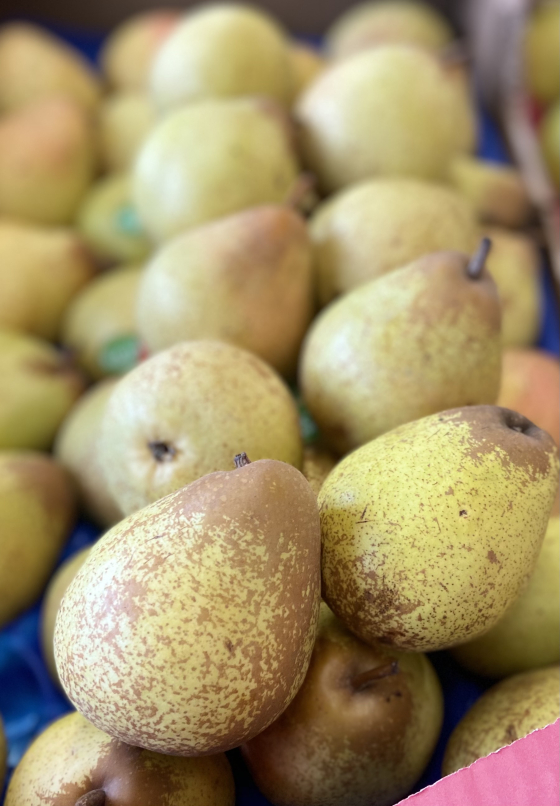 POIRE ROCHA portugale cat 2 cal 65 - Pommes & poires - Fruits / BIO ...